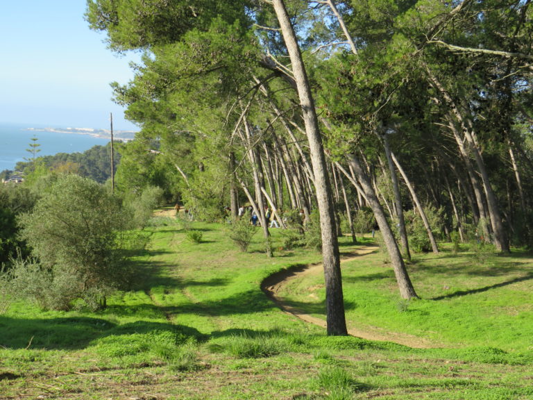 Salvar o Jamor e a Serra de Carnaxide - Jornal Mapa