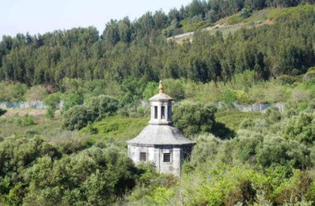 Salvar o Jamor e a Serra de Carnaxide - Jornal Mapa